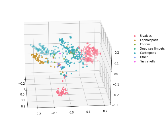 Reports on Chaos Game Activities — Computational Discovery on Jupyter